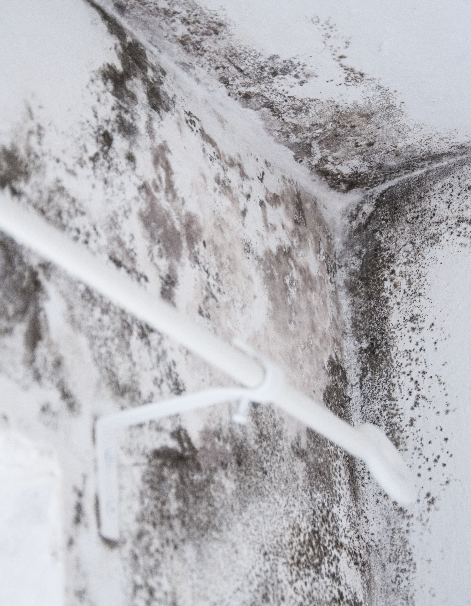 Mold Remediation | PCS, Inc.